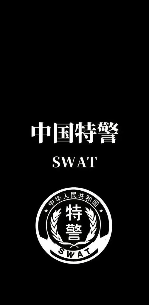 中国特警模拟器2截图