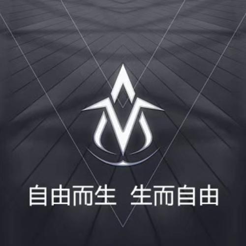 VDS币最新消息2022免费版截图