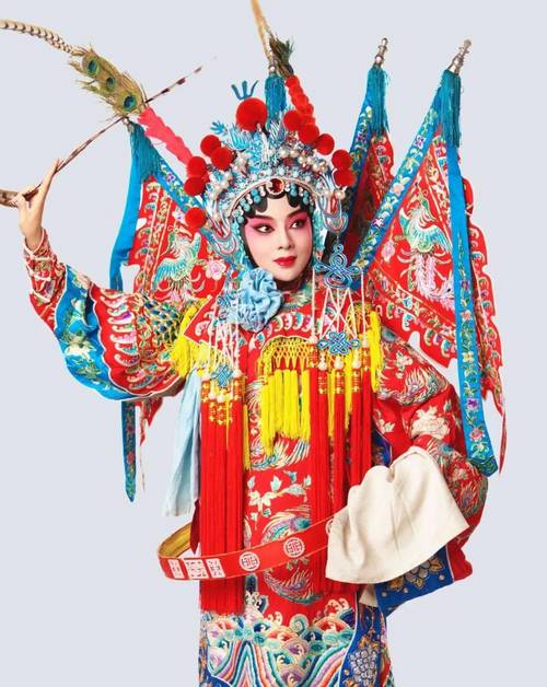 杨太君美化包最新版图标