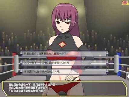 斗技女王蕾米游戏