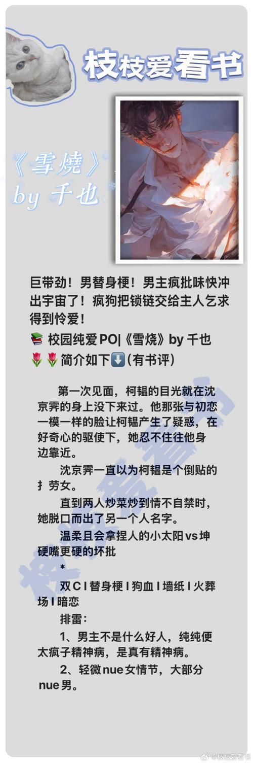 火迅小说