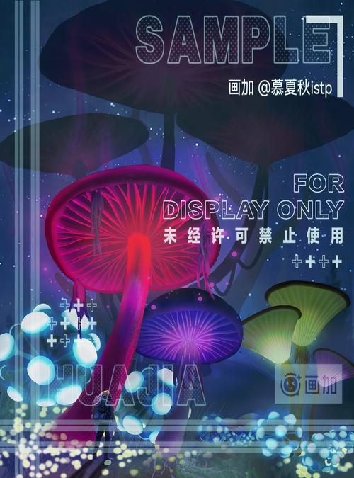 蘑菇星球官网版安装图标