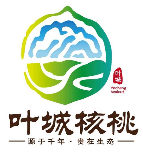 核桃开发者创作平台截图