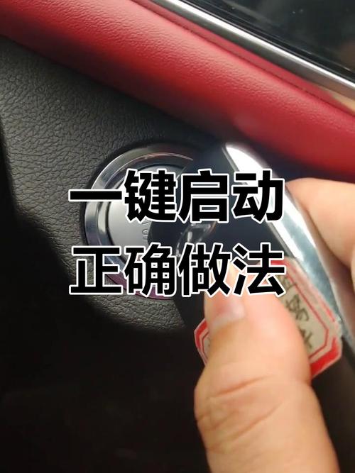 一键启动使用视频教程截图