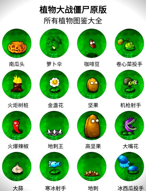植物大战僵尸中国版安装植物大战僵尸中国版安装破解版图标