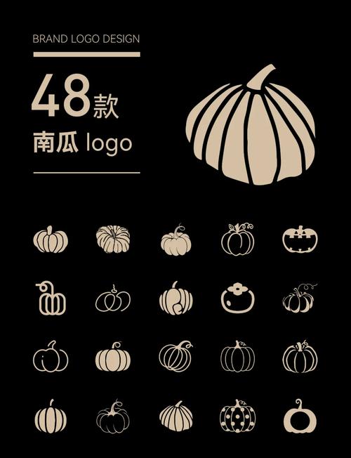 南瓜辅助官网图标