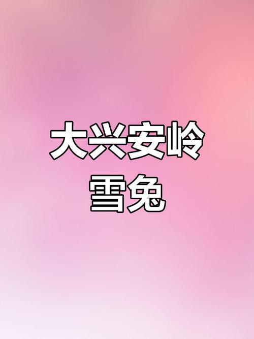雪兔视频破解版截图