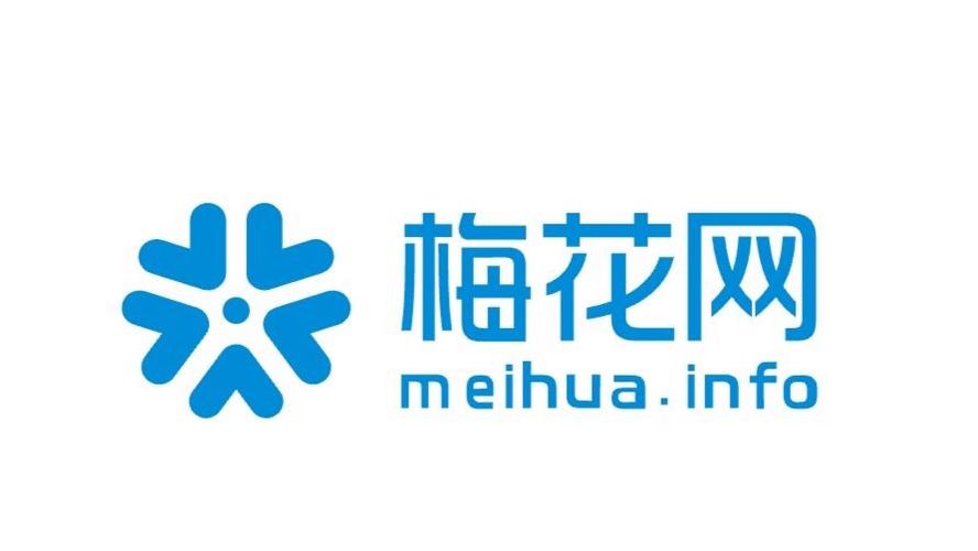 梅花视频安装免广告图标