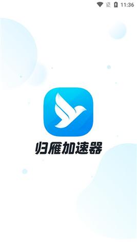 归雁加速器2023最新版截图