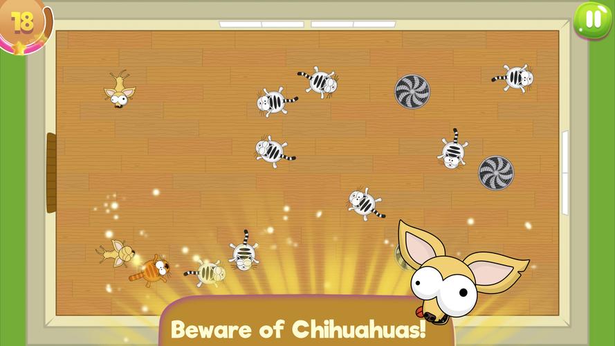 肥猫加速器1.0截图