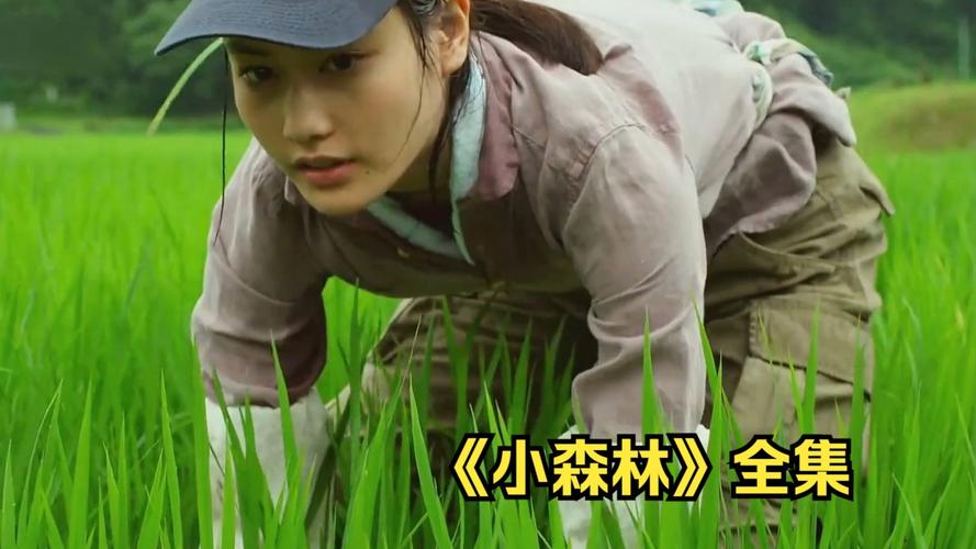 小树林TV