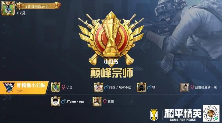 和平精英宗师辅助破解版截图