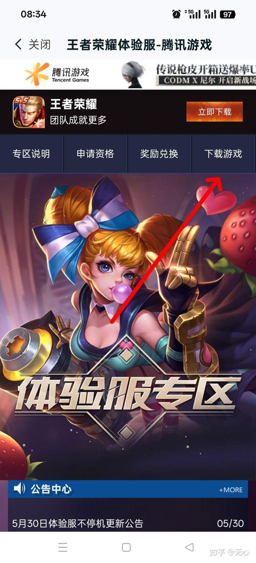 王者体验服外挂图标