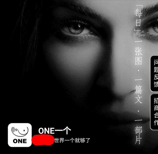 一个人致敬韩寒one成年版图标