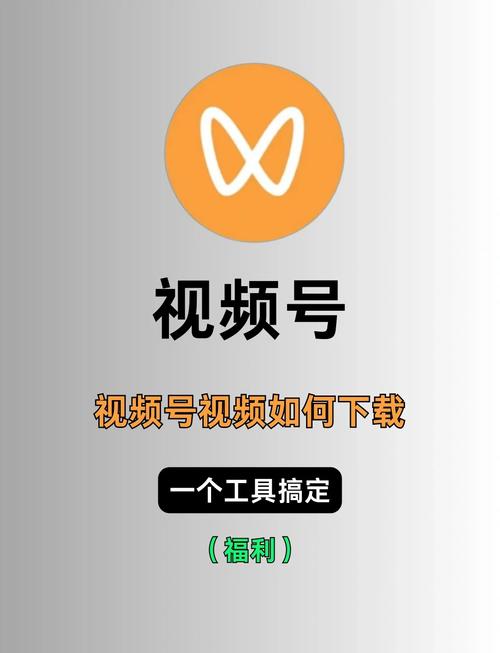 tv助手安装图标