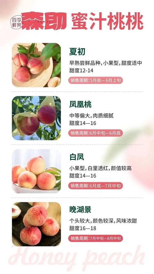 触摸游戏桃子移植兑换码截图