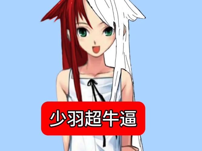 少羽美化包正版截图