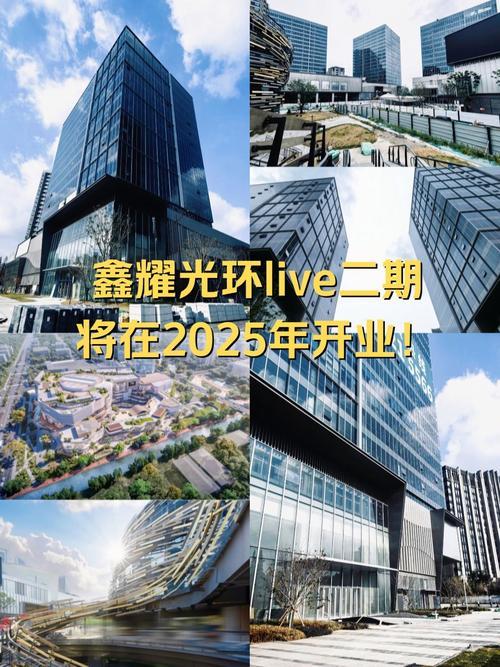 小丽君统计器2025光环加速版图标