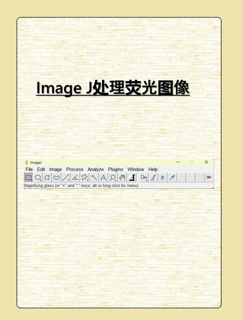 ImageProcessing Demo图像图形处理app