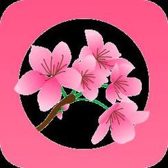 桃缘公园官网