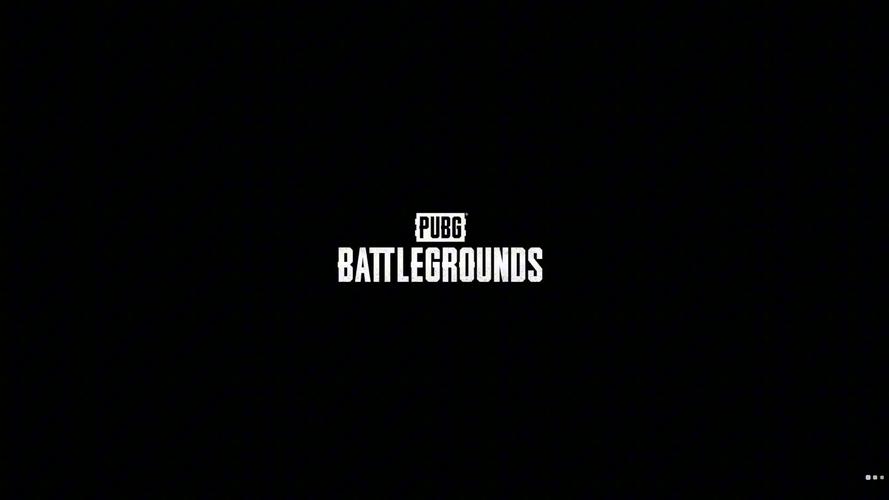 pubg169比例修改器可提版