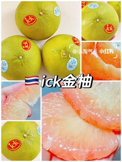 金柚转官方版截图