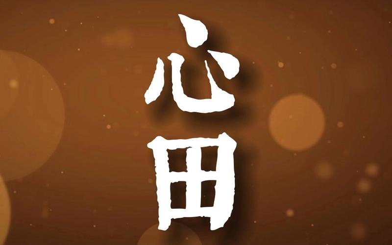 心田图标