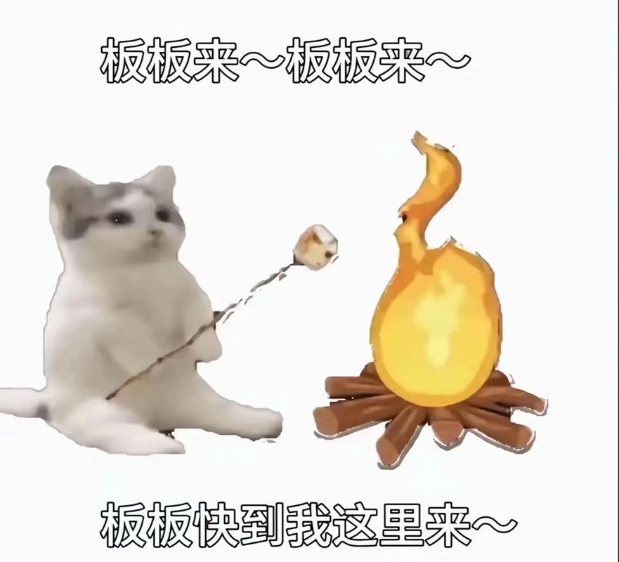 小懒猫光遇自动跑图ios图标