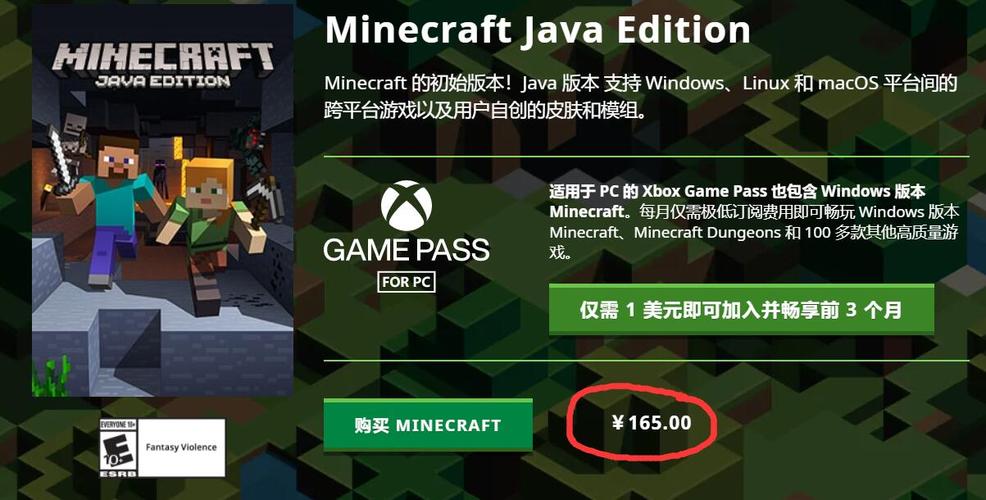 我的世界正版需要多少钱