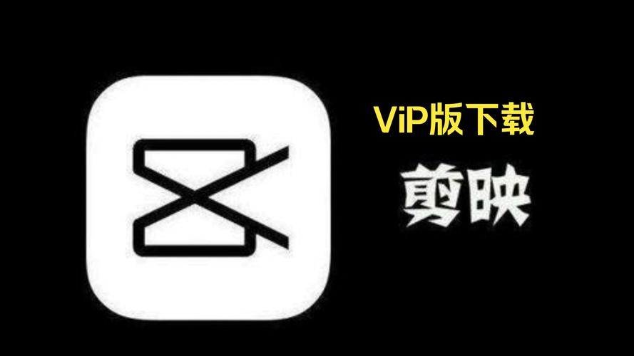 剪映本黑色免费最新版截图