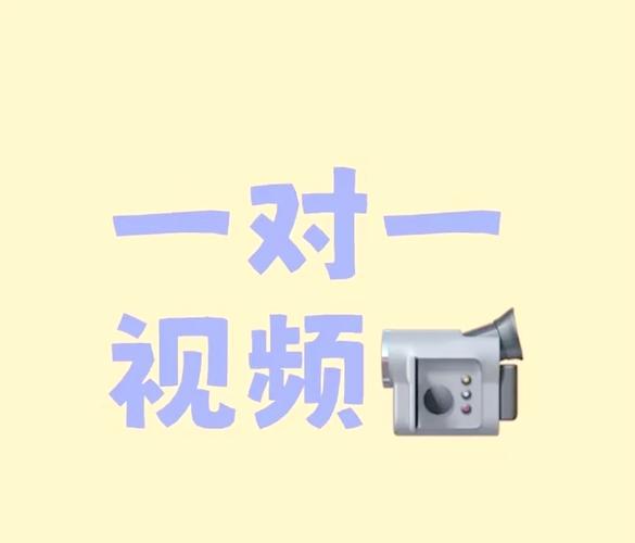 一对视频聊天图标