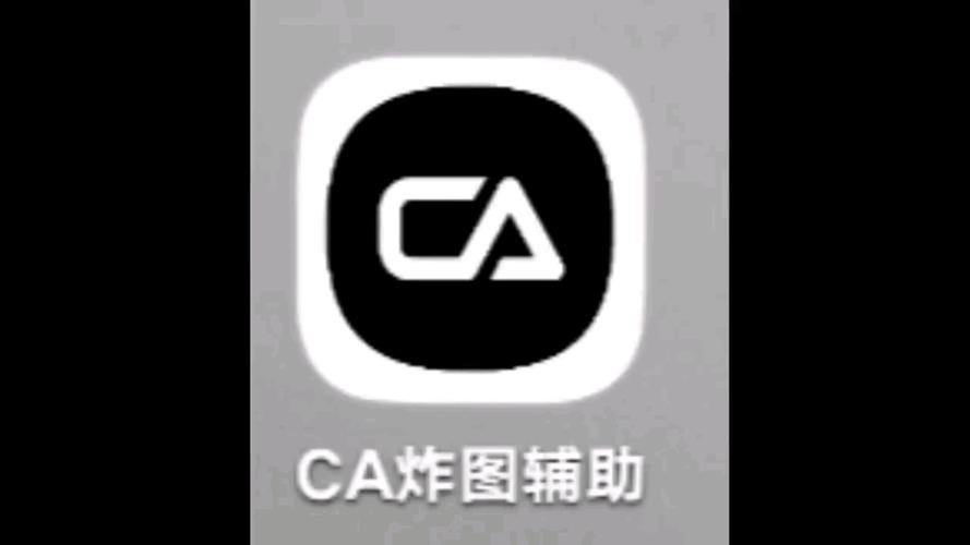 ca辅助器迷你世界图标