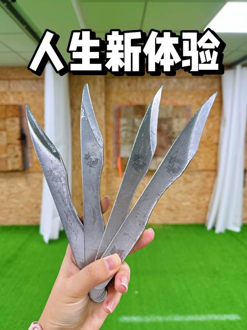 我爱玩飞刀图标