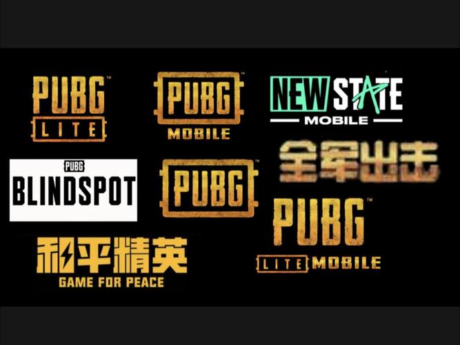 pubg国体科技直装看书版图标