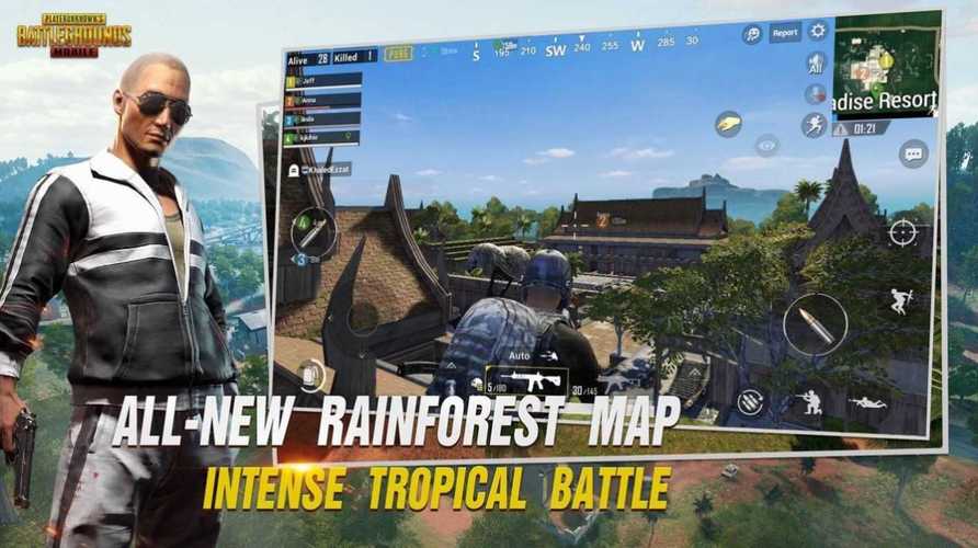 pubg北辰直装科技