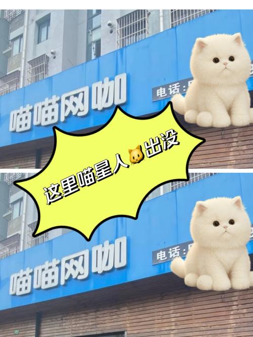喵咖