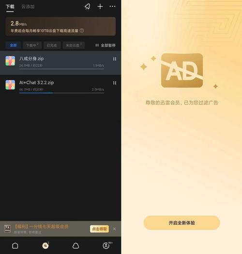 手机迅雷破解不限速vip版图标