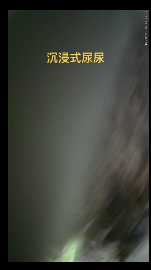 主人往我屁股眼里灌尿视频