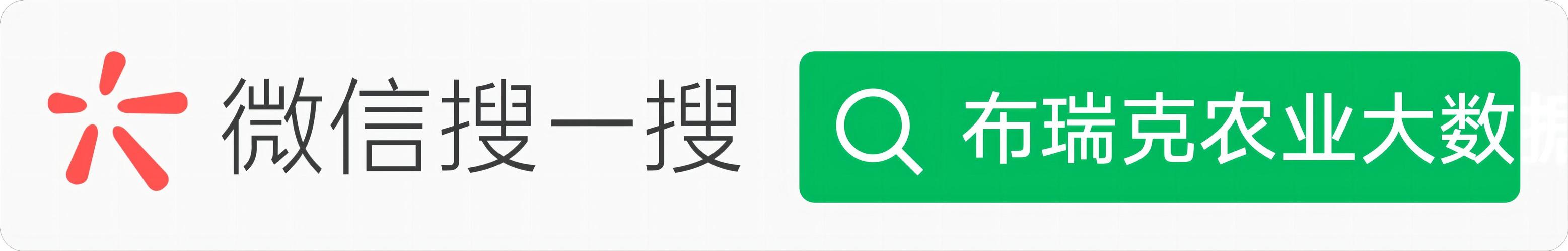 图片搜索app图标
