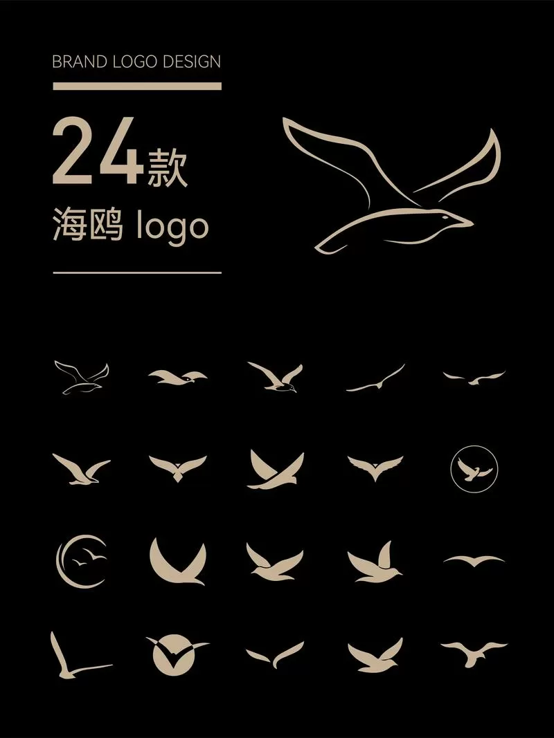 小鸟在海边的短视频图标
