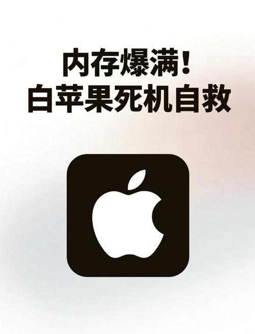 苹果手机内存很大但是很卡怎么办