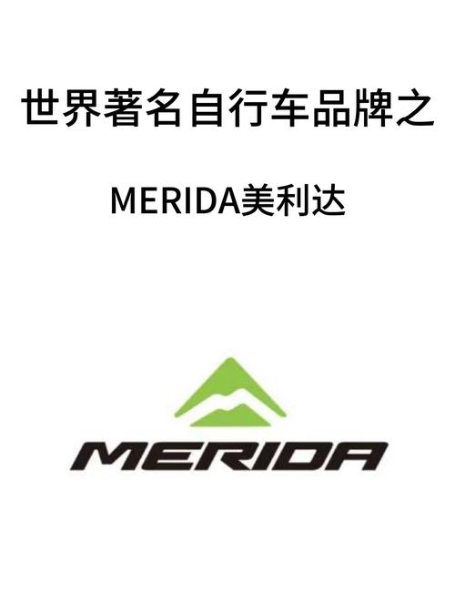美利达电助力自行车官网图标