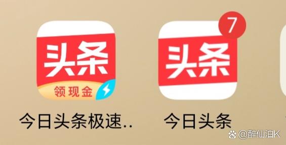 秒提看看极速版图标