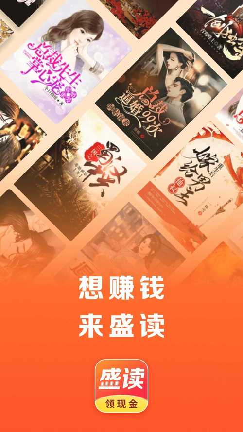 盛读小说图标