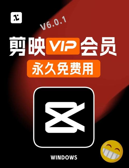 剪映老版本永久会员版图标