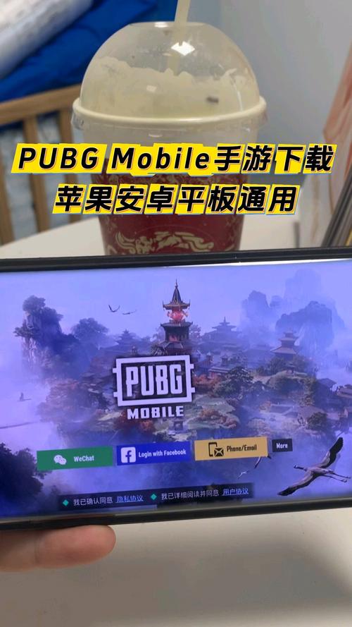 小挽改文件pubg安装到手机截图