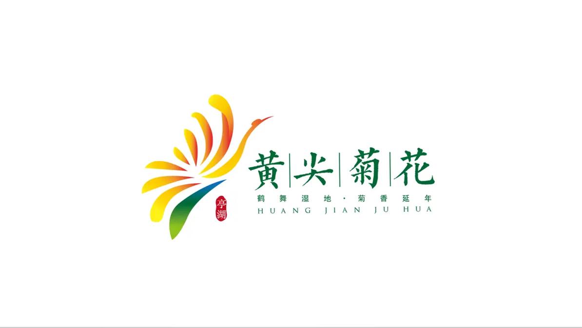 菊花直播软件图标