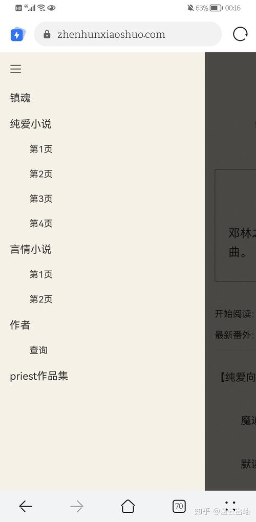 镇魂小说网怎么打不开了题主