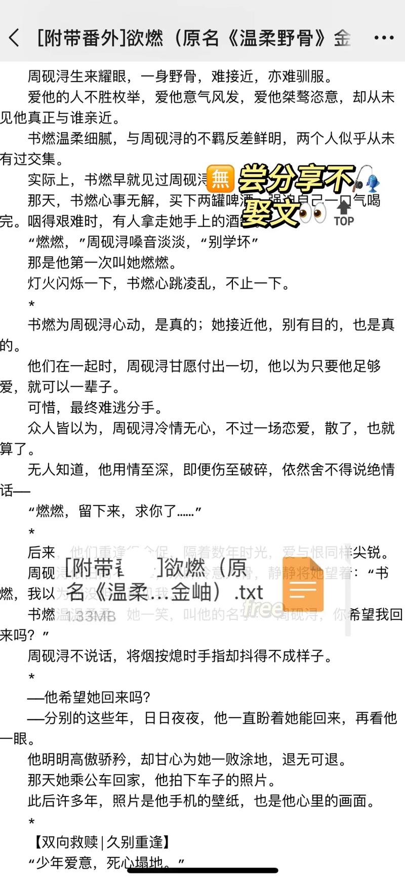 燃文免费小说