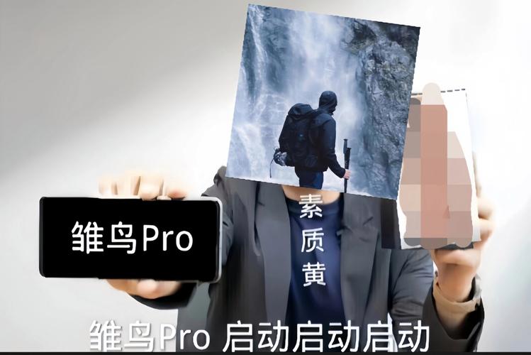 雏鸟pro2最新版安装包特色图标